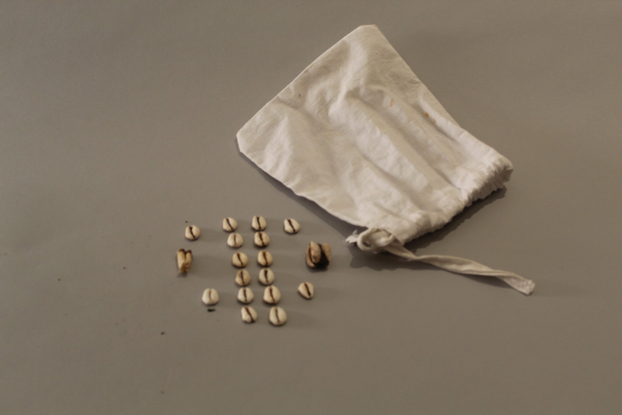Sixteen Cowries Divination Kit - The Sacred Arts of the Black Atlantic